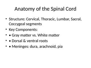 Spinal_Cord_Diseases_Presentation_Enhanced.pptx