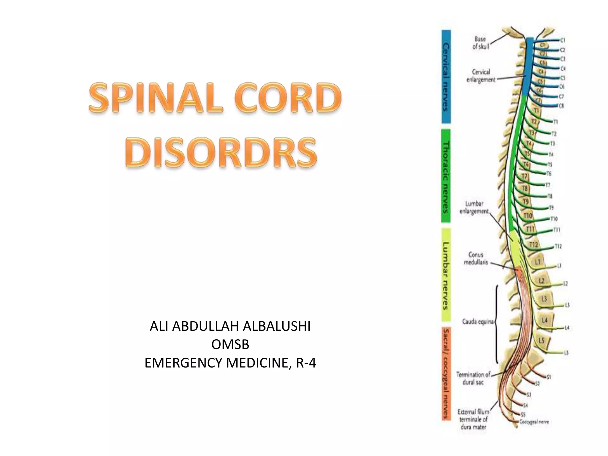 Spinal cord disorders | PPTX