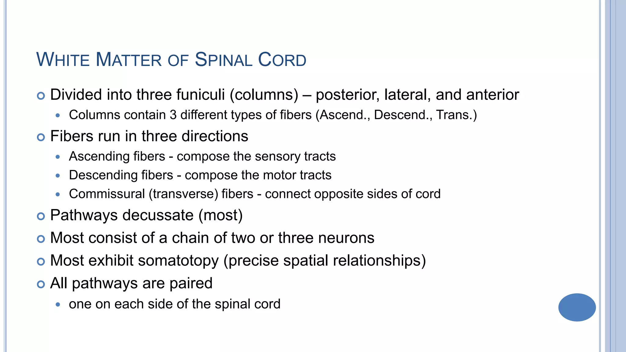 Spinal cord disorders Anatomical Approach | PPTX