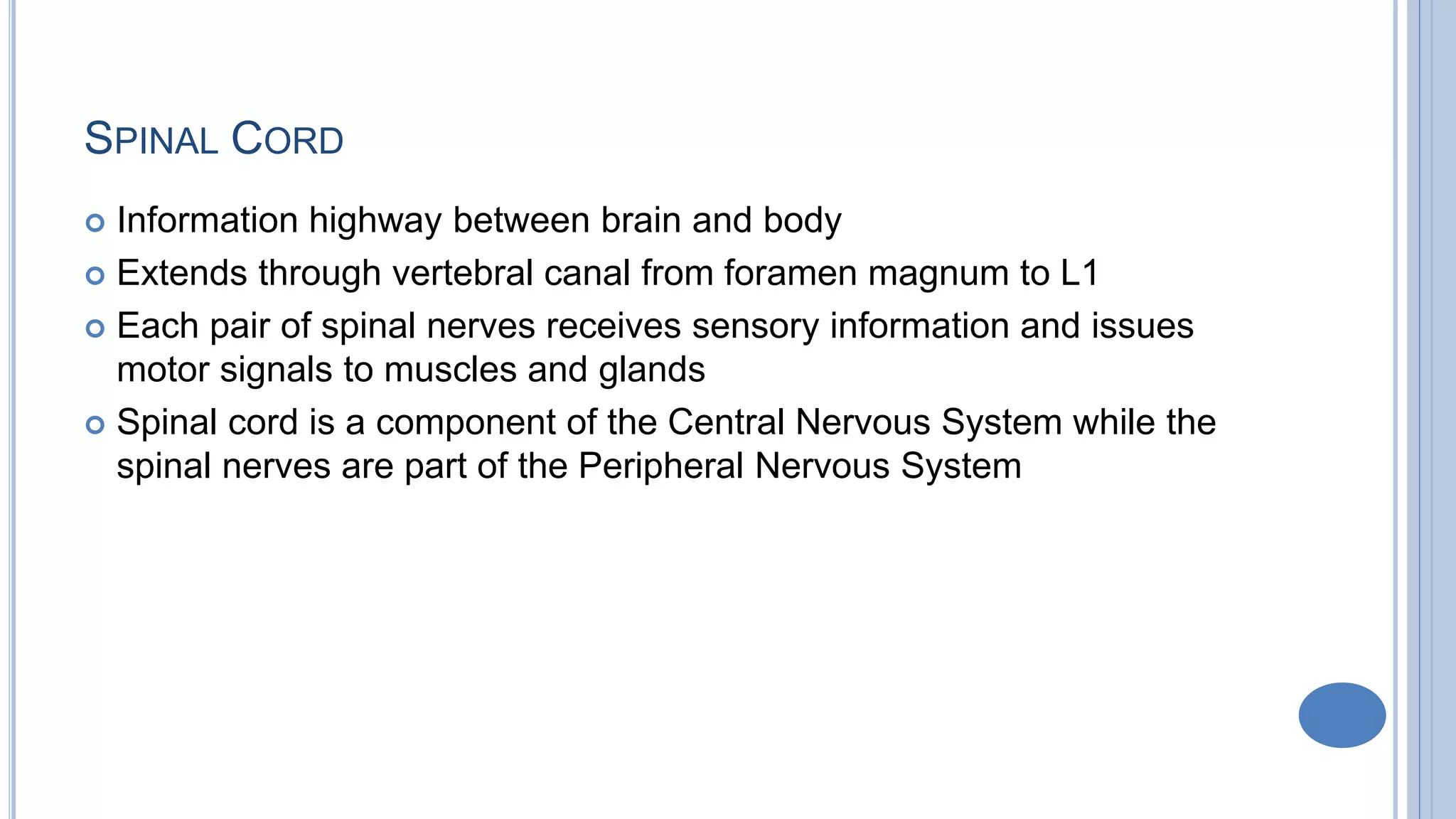 Spinal cord disorders Anatomical Approach | PPTX