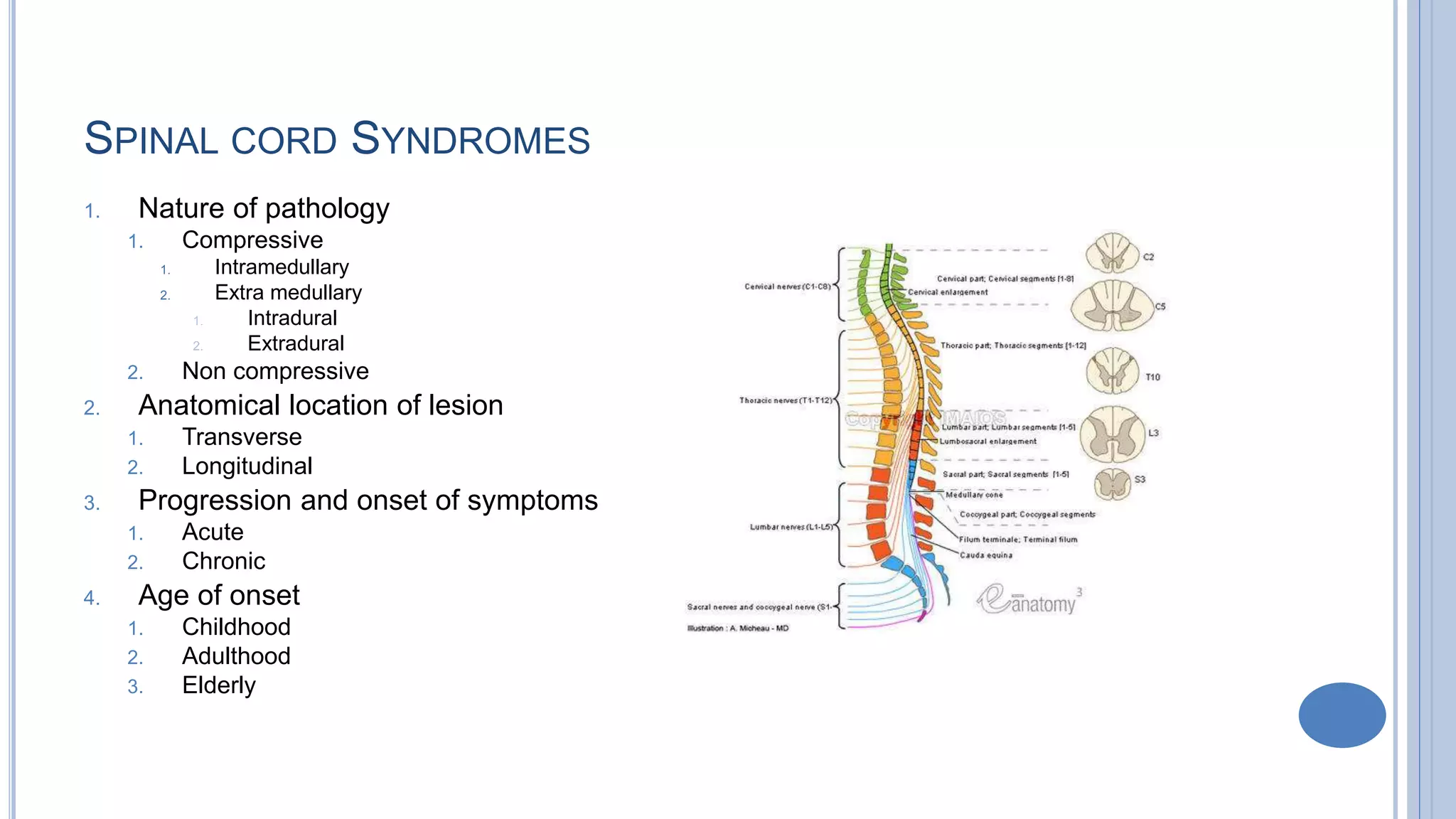 Spinal cord disorders Anatomical Approach | PPTX