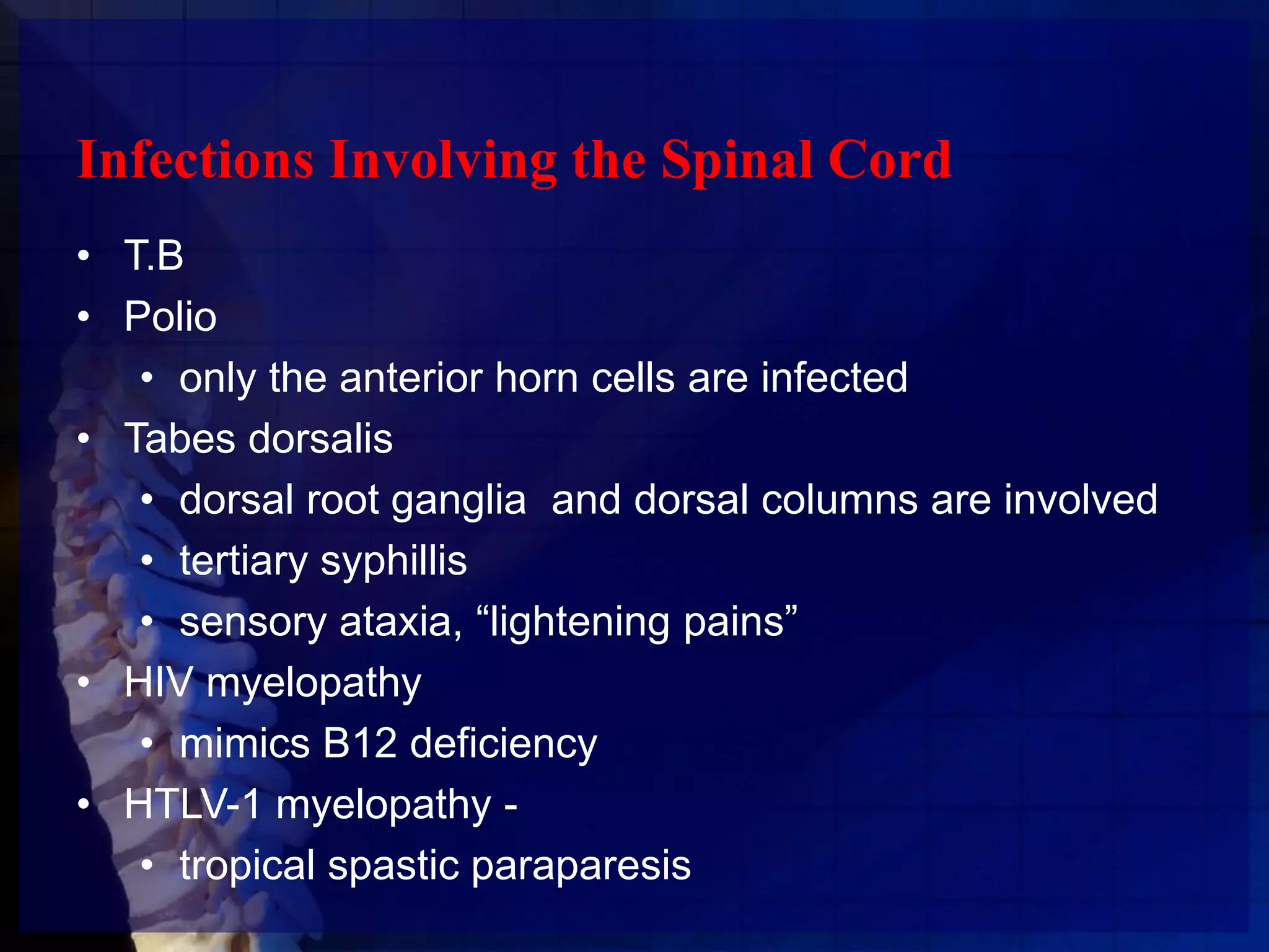 Spinal cord disorders | PPTX