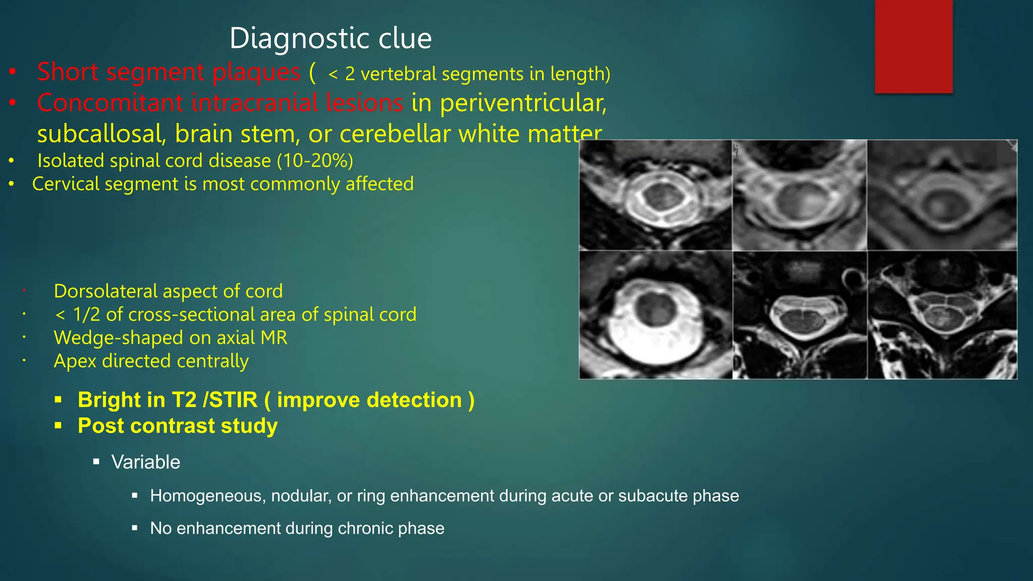 SPINAL CORD DISORDERS.pptx