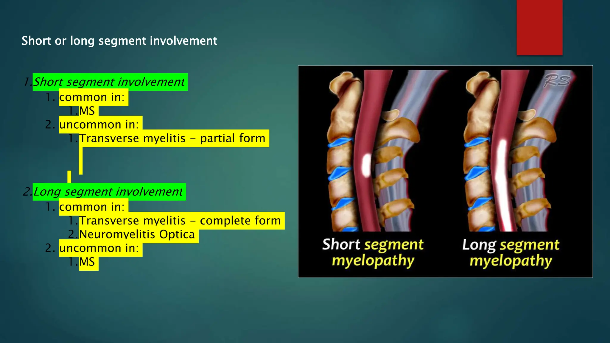 SPINAL CORD DISORDERS.pptx