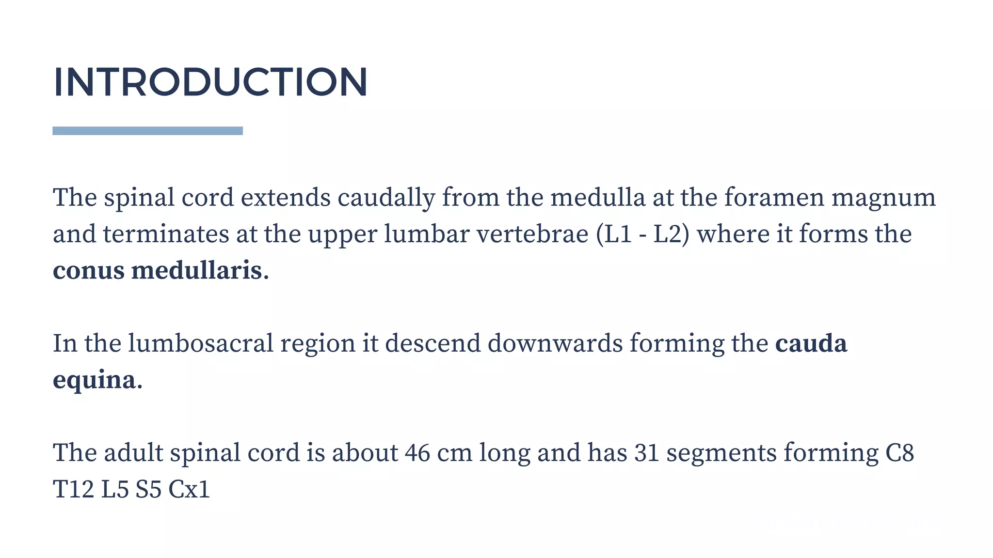 Spinal Cord Disease - Clinical Presentations and Management | PDF