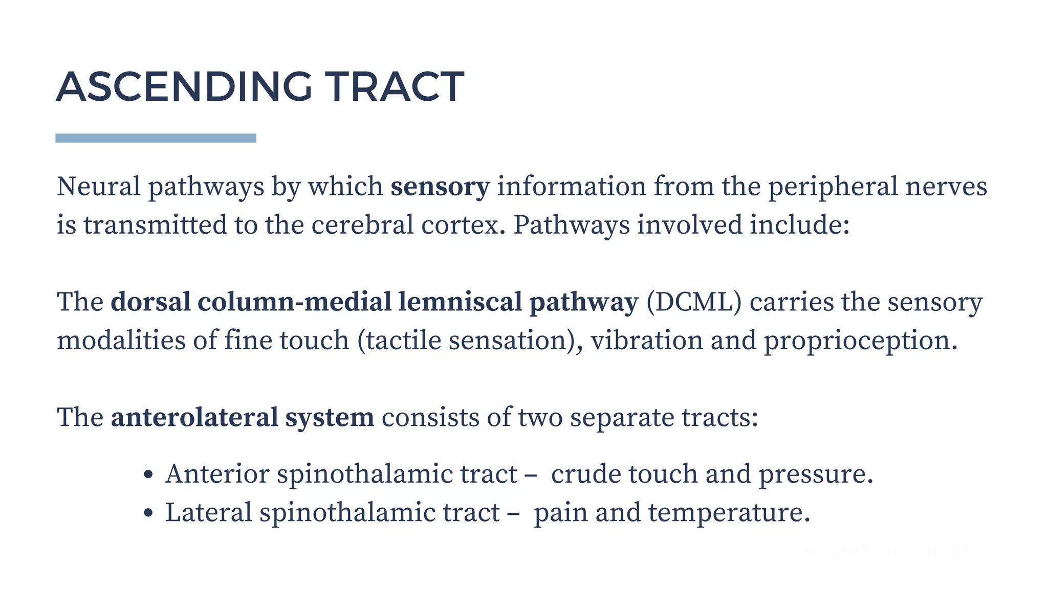Spinal Cord Disease - Clinical Presentations and Management | PDF