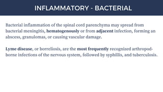 Spinal Cord Disease - Clinical Presentations and Management | PDF