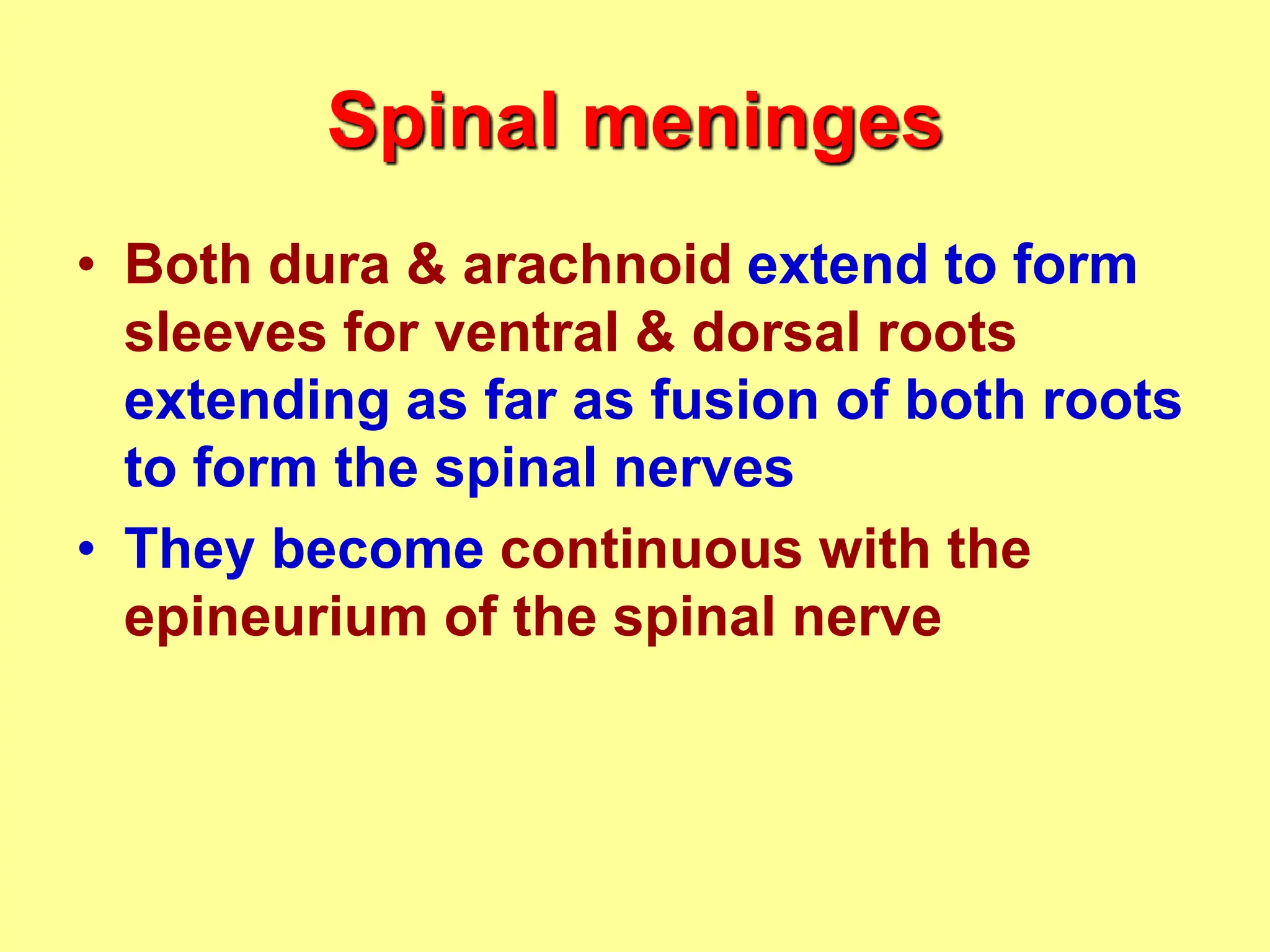 SPINAL CORD EXTERNAL FEATURES & BLOOD SUPPLY.ppt