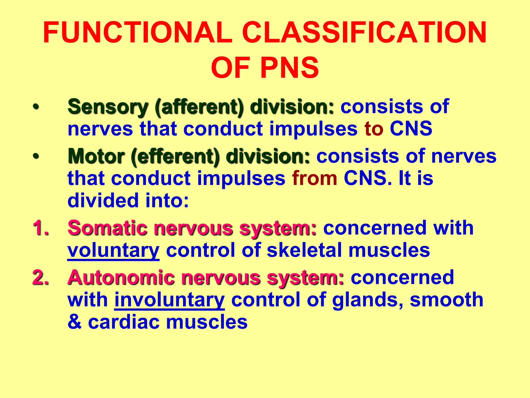 SPINAL CORD EXTERNAL FEATURES & BLOOD SUPPLY.ppt
