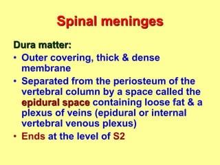SPINAL CORD EXTERNAL FEATURES & BLOOD SUPPLY.ppt