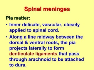 SPINAL CORD EXTERNAL FEATURES & BLOOD SUPPLY.ppt