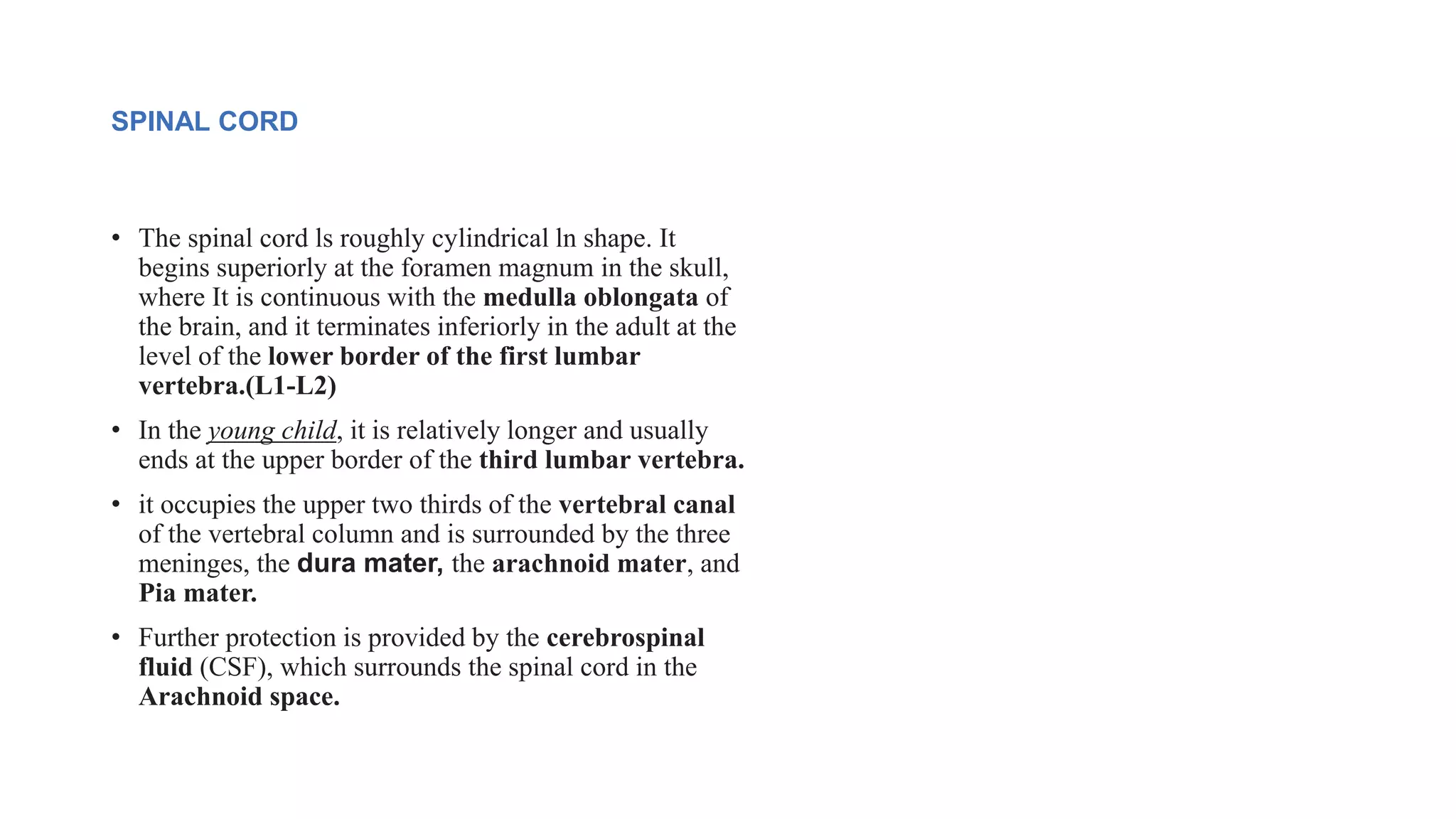 Spinal Cord final.pptx