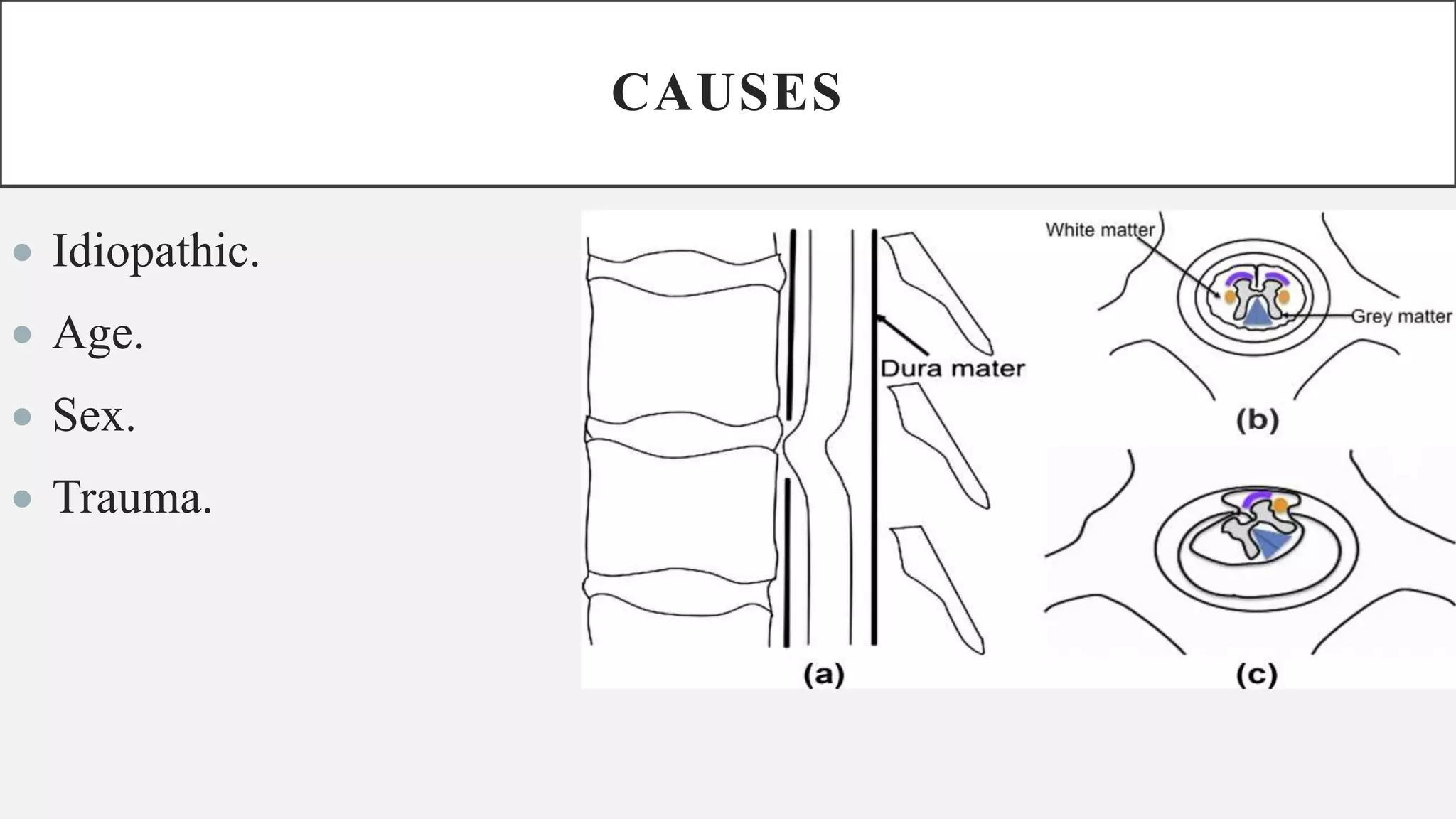 SPINAL CORD HERNIATION.pptx