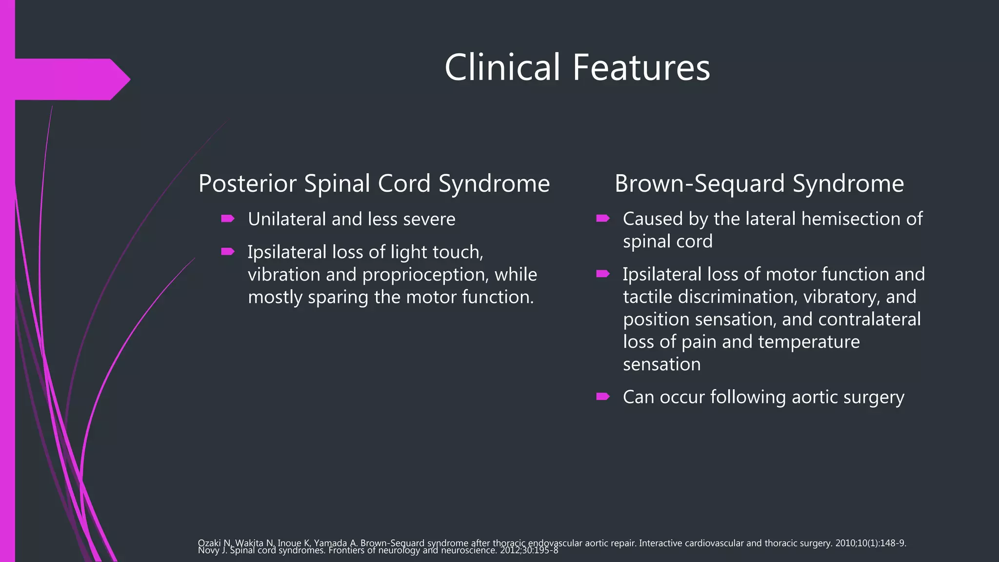 Spinal Cord Infarction | PPTX | Blood Disorders | Diseases and Conditions