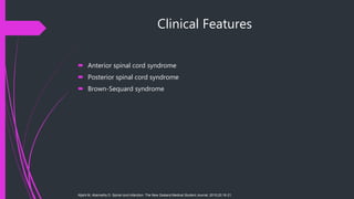 Spinal Cord Infarction | PPTX