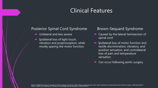 Spinal Cord Infarction | PPTX