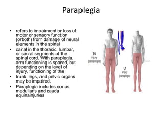 Spinal cord injuries | PPTX | Death, Injury, or Military Conflict ...