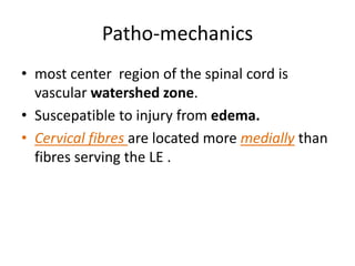 Spinal cord injuries | PPTX
