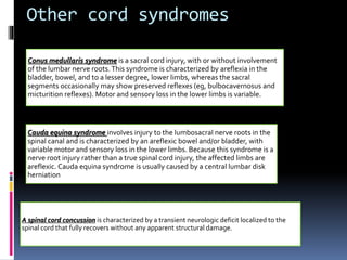 management of spinal cord injuries | PPTX