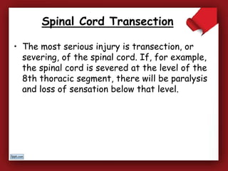 Spinal cord injuries | PPT
