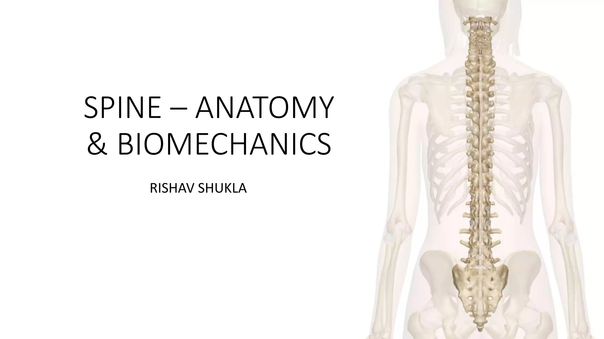 SPINE- ANATOMY AND BIOMECHANICS BY MIN^ED ACADEMY | PPTX