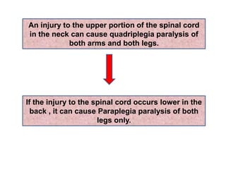 SPINAL CORD INJURIES.pptx neuro disorders | PPTX