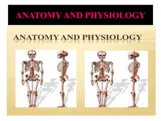 Spinal Cord Injuries Pptx Neuro Disorders Pptx