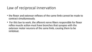 gross anatomy of spinal cord injuries MBBS 2NDYR | PPTX