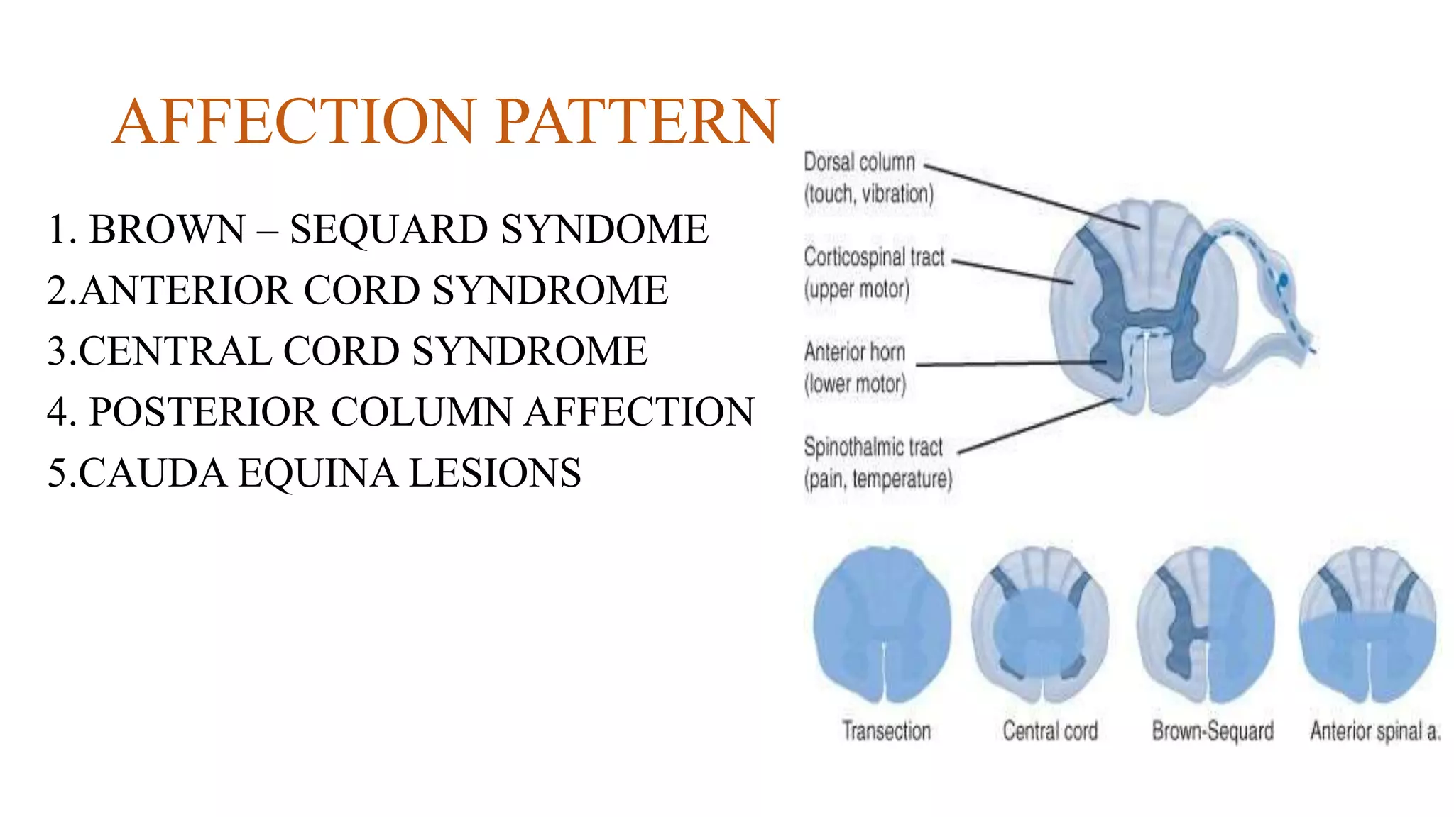Non Traumatic Spinal cord injuries | PPTX