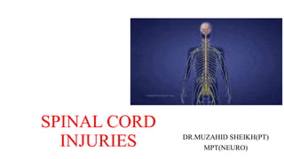 Non Traumatic Spinal cord injuries | PPTX
