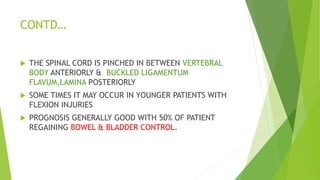 SPINAL CORD INJURIES_021231.pptx