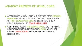 SPINAL CORD INJURIES_021231.pptx