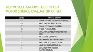 SPINAL CORD INJURIES_021231.pptx