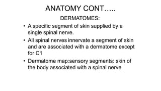 Spinal cord injuries and diseases | PPTX