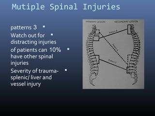 Spinal cord injuries spinalfractures thoracolumbar fracture | PPT