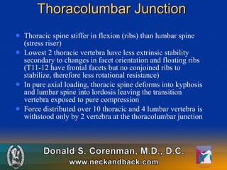Spinal cord injuries | spine fracture | thoracolumbar fracture ...