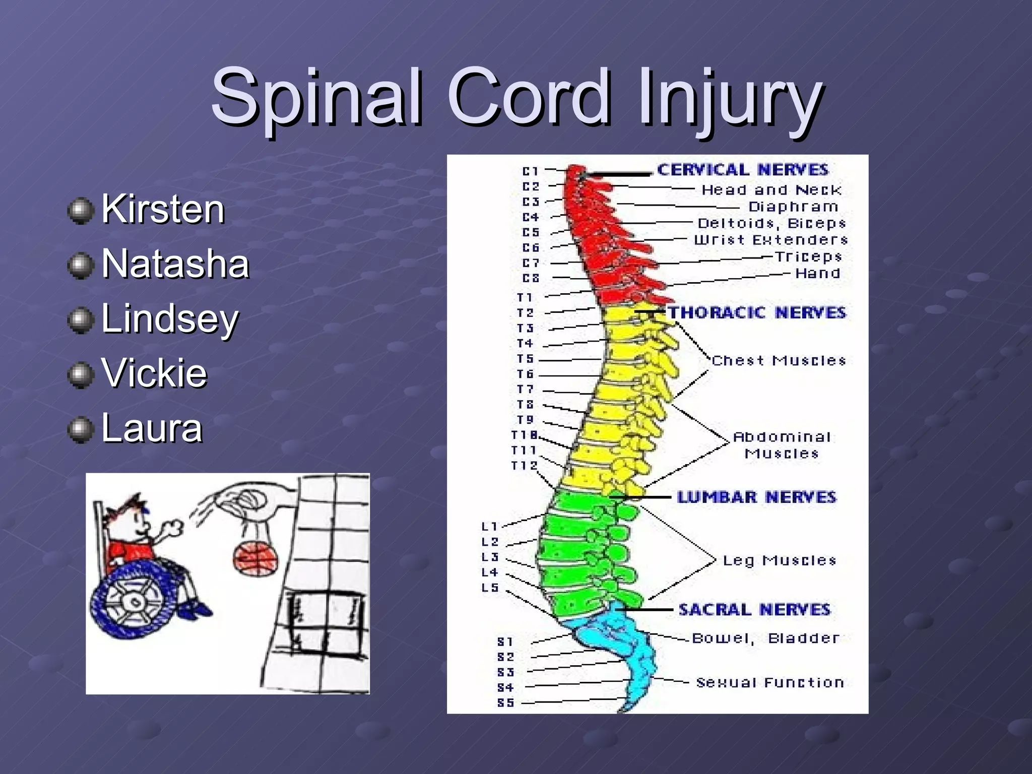 Spinal cord injury | PPT