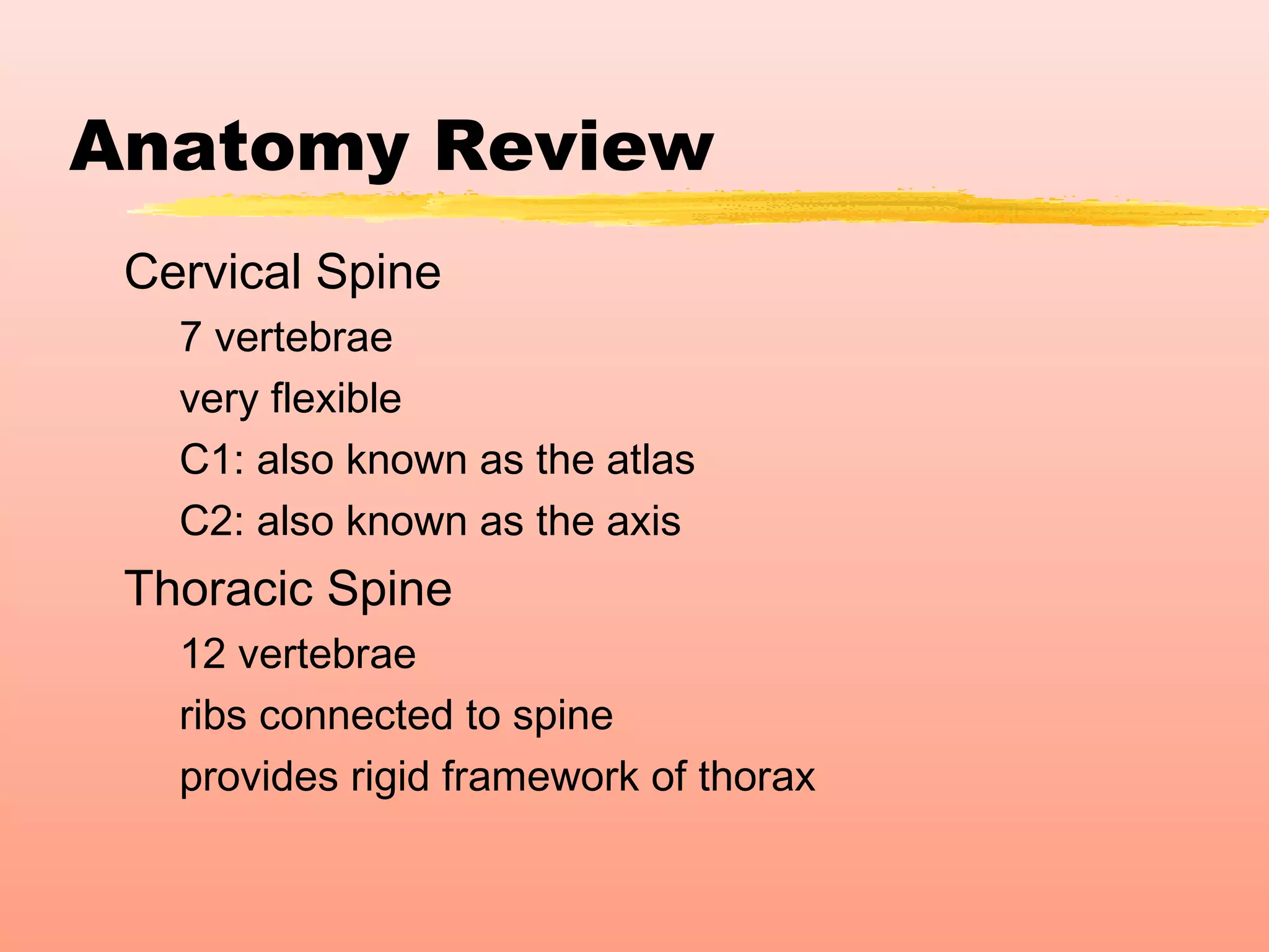 Spinal cord injury | PPT