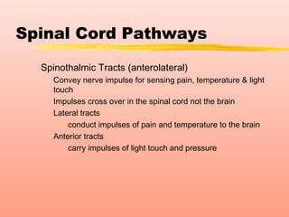 Spinal cord injury | PPT
