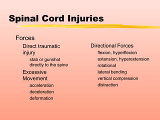 Spinal cord injury | PPT