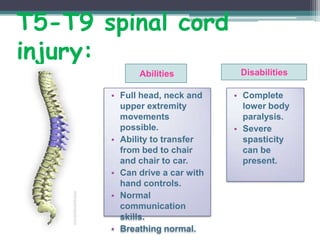 Spinal Cord Injury | PPTX