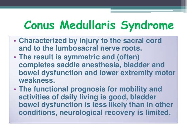 Case Report Conus Medullaris Syndrome From Spinal