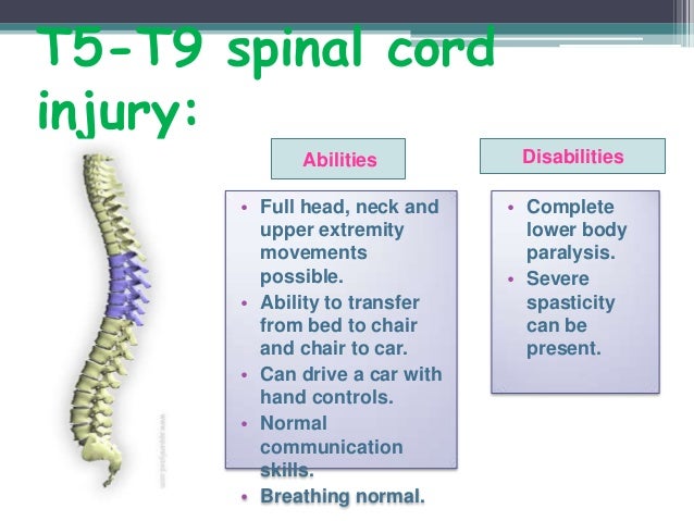 Spinal Cord Injury