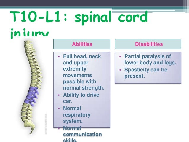 Spinal Cord Injury