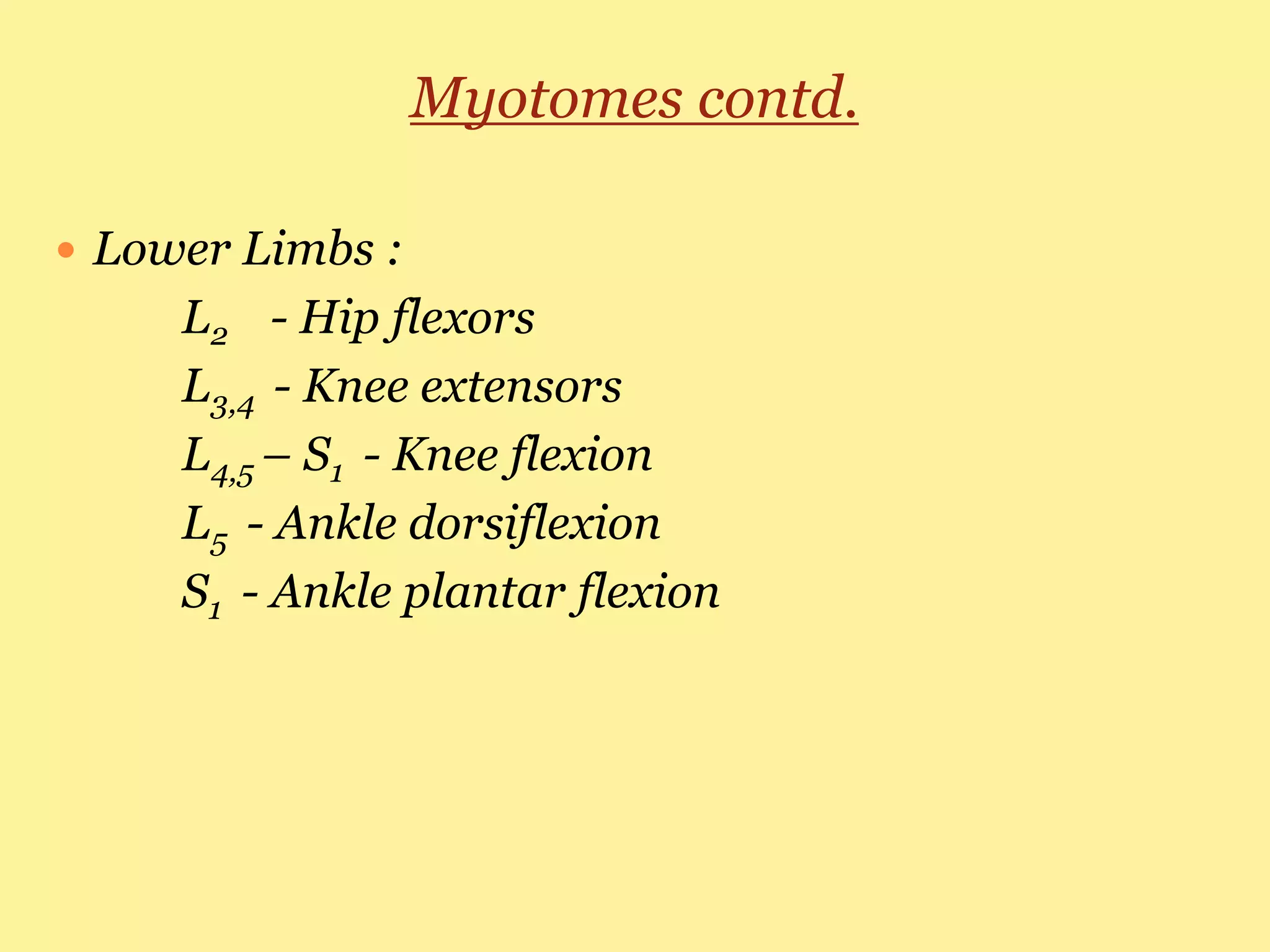 Spinal cord injury | PPTX
