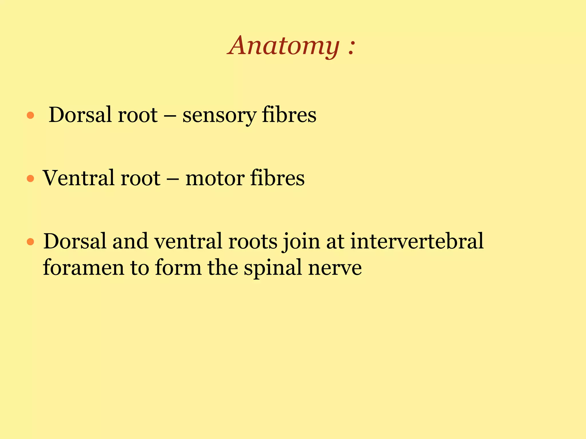 Spinal cord injury | PPTX