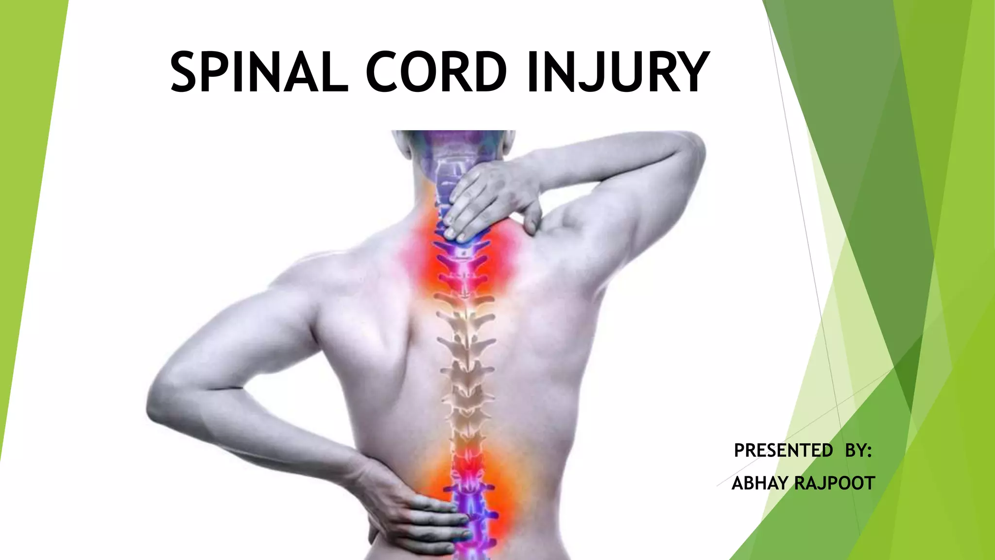 Spinal Cord Injury (SCI) | PPTX