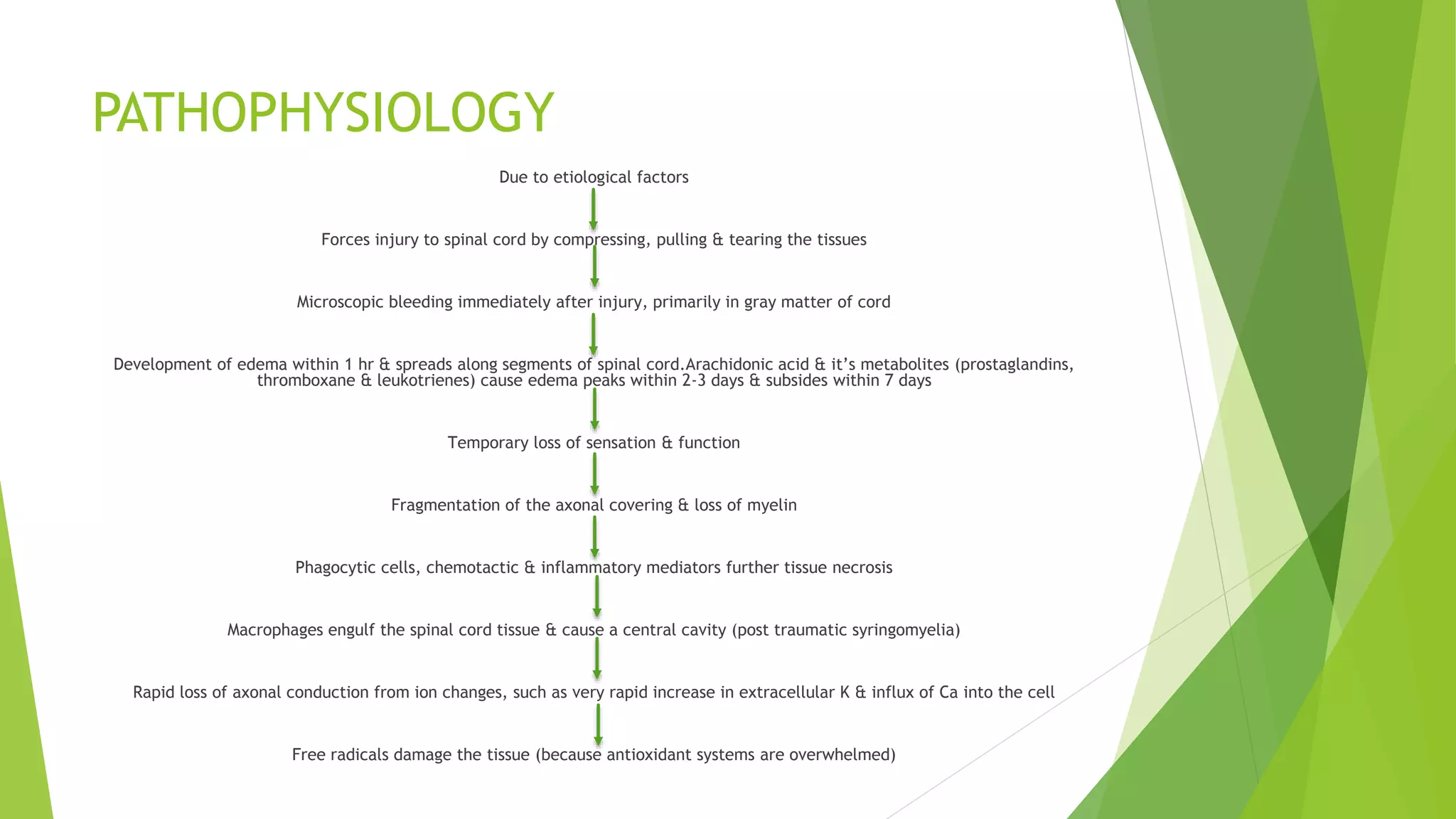 Spinal Cord Injury (SCI) | PPTX