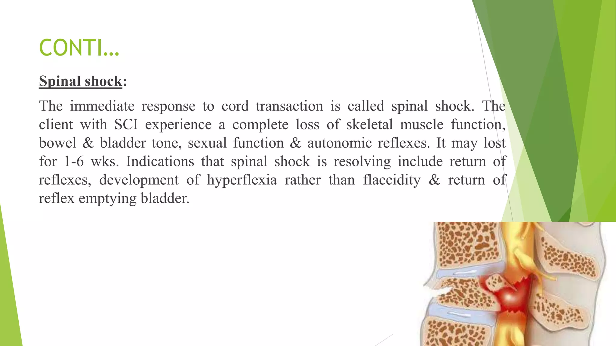 Spinal Cord Injury (SCI) | PPTX