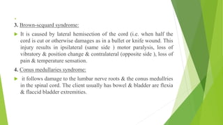 Spinal Cord Injury (SCI) | PPTX
